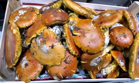 Da Baffone Da Baffone Added A New Photo