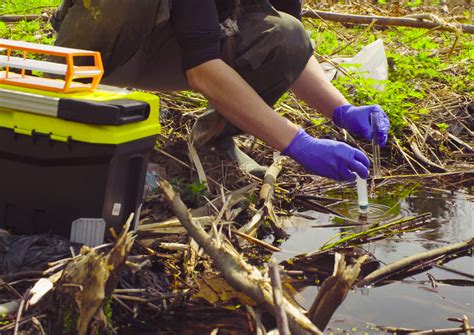 Year 11 Subject Selection Inaburra School