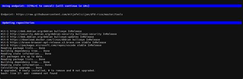 Debian Based Riced Up Distribution For Developers And DevOps Folks
