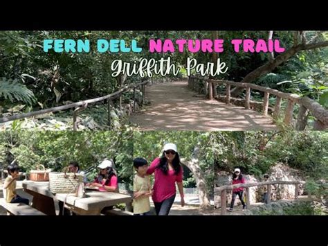 Fern Dell Nature Trail In Griffith Park Hiking And Picnic Youtube