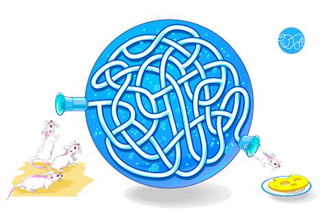 최고의 미로 실험용 쥐가 치즈로 가는 길을 찾도록 도와주세요 논리 퍼즐 게임 미로가 있는 수수께끼 책 어린이 활동 시트입니다