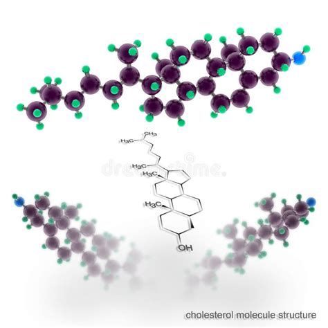 Cholesterol Molecule Structure Stock Illustration Illustration Of