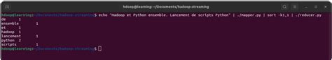 Écrire un programme hadoop mapreduce en python
