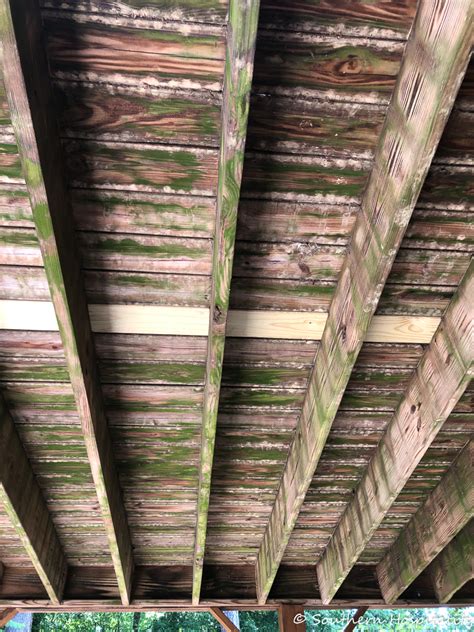 Backyard Plans Under The Deck Southern Hospitality