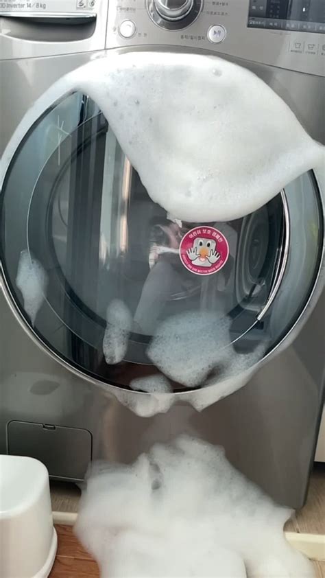 세탁기 거품폭발 주말 스노우밤비 네이버 블로그
