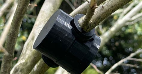 Tree Cloning Bulb With Quick Peak Cap By William Petruzzo Download Tree Cloning Bulb With Quick Peak Cap By William Petruzzo Download