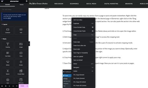 How To Easily Copy And Paste In Elementor Web Design Newcastle A