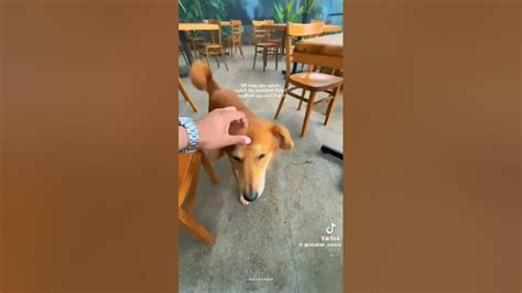 එයාලාත් එක්ක කතා කරන අය කෝ බලන්න 😊 Youtube