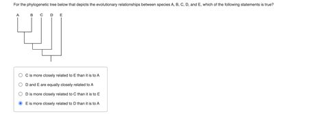 Solved For The Phylogenetic Tree Below That Depicts The Evolutionary