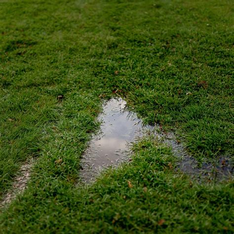 The Ins And Outs Of Leach Fields