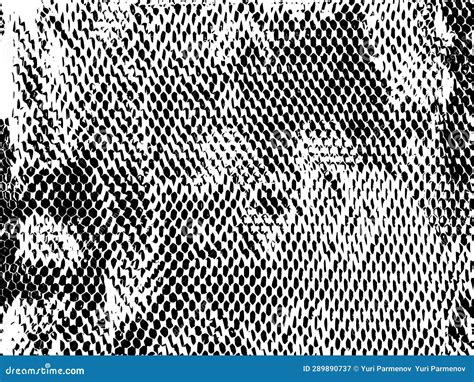 Black And White Grunge Mesh Hexagon Pattern Cells In The Honeycomb Holes Mosaic Organic