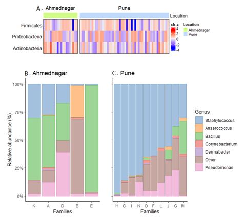 A Heatmap Representing The Abundance Variation For The Most Prevalent
