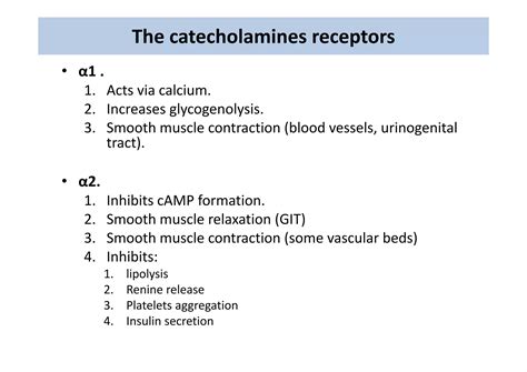 The Adrenal Gland Catecholamine Synthesis Pdf