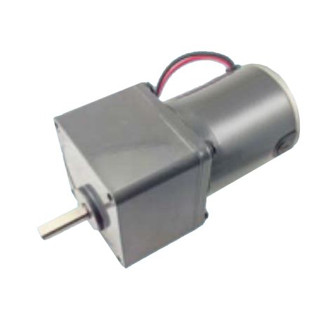 80 Dm Dc Gear Motor