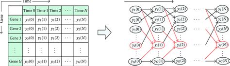 A Dynamic Bayesian Network Modeling Of Time Series Expression Data