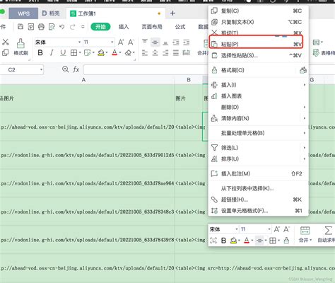 把excel里的url链接转换为图片显示表格里的图片链接怎么变成图片 Csdn博客