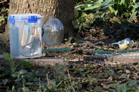 10 Amazing Raspberry Pi Zero Projects MagPiMonday Raspberry Pi