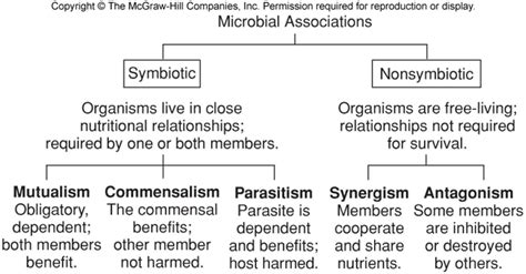 Pin De Shay Fojtik Radke En Microbiology