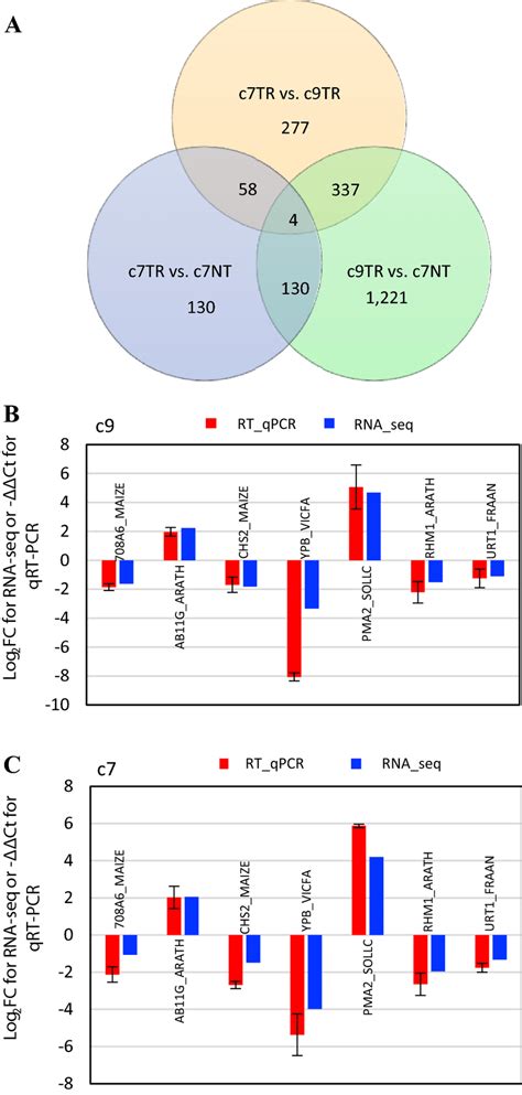 A Venn Diagram Illustrating Overlap Of The Three Transcriptomic Download Scientific Diagram