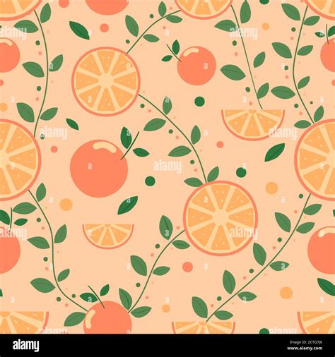 Cross Section Orange Stock Vector Images Alamy