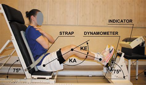 Test Of The Lower Extremity Extensors Strength Developed In The Closed