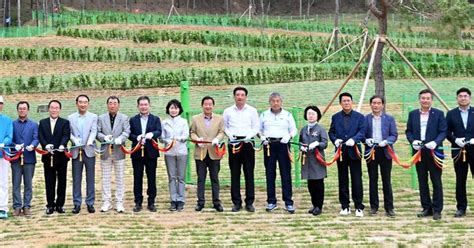 대구 군위군 위천수변테마파크내 ‘파크골프장 개장⋯경관과 골프 함께 즐겨