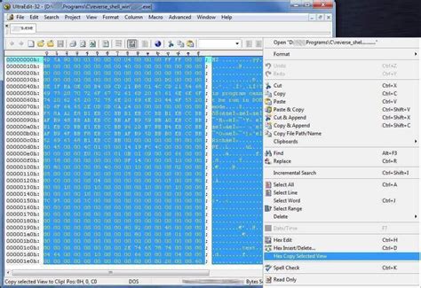 Reverse Shell Via Dll Injection How To Perform Attacks With