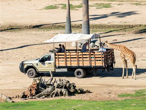How Long Does It Take To See The San Diego Safari Park San Diego Awards