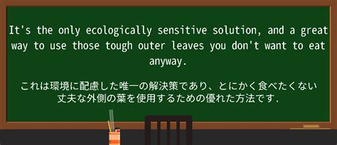【英単語】ecologically Sensitiveを徹底解説！意味、使い方、例文、読み方 おもしろい英文法