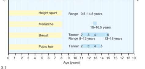 Paediatric Gynaecology And Disorders Of Sex Development Flashcards Quizlet