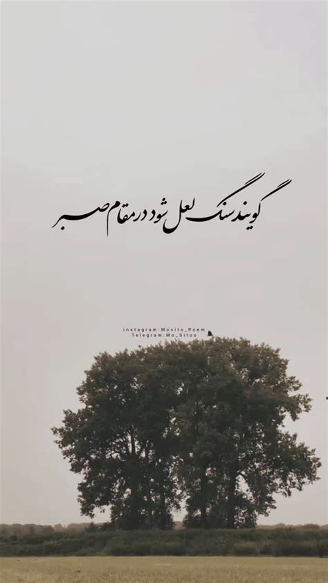 ‎تکست ریلز شعر‎ ‎‏گویند سنگ لعل شود در مقام صبر آری شود، ولیک به خونِ جگر شود حافظ