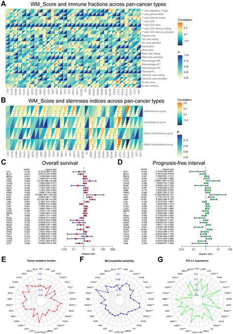 Cross Talk Of Rna Modification Writers Describes Tumor Stemness And