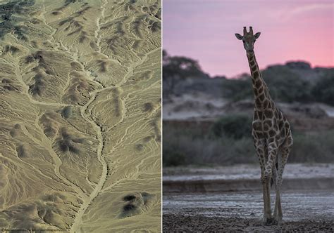 Namibia Exposed ORYX Photo Tours