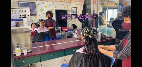 동네미용실 가서 5만원 주고 히피펌 한 유튜버  인스티즈 Instiz 인티포털 카테고리
