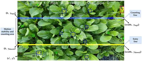 Agronomy Free Full Text Improved Feature Fusion In Yolov5 For