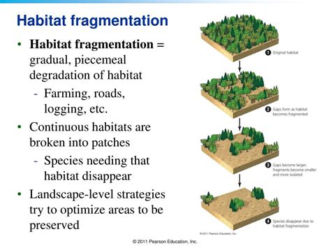 What Is Habitat Loss In Biodiversity At Deloris Colvin Blog