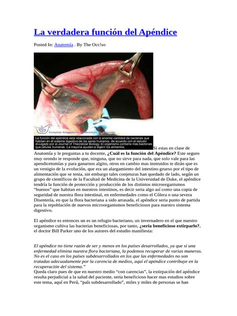 La Verdadera Función Del Apéndice Pdf Tecnología