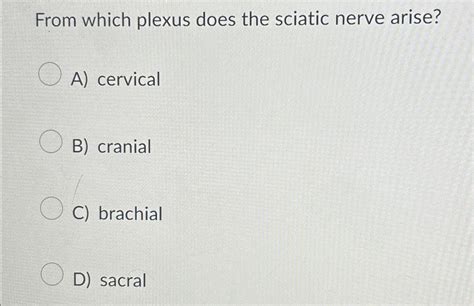 Solved From Which Plexus Does The Sciatic Nerve Arisea Solved From Which Plexus Does The Sciatic Nerve Arisea