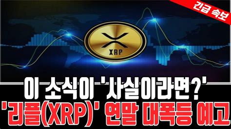 리플 전망 이 소식이 사실이라면 연말 대폭등 Youtube