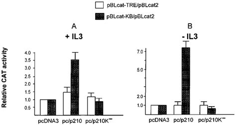 Transcriptional Activation By P210 Bcr ± Abl In Transient Study Da1