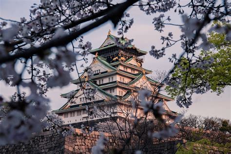 Download Osaka Castle Sakura Season Wallpaper