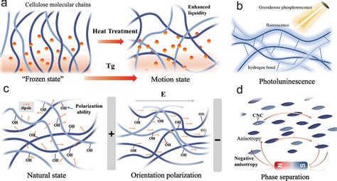 Cellulose Functional Gels Physical Design And Promising Applications