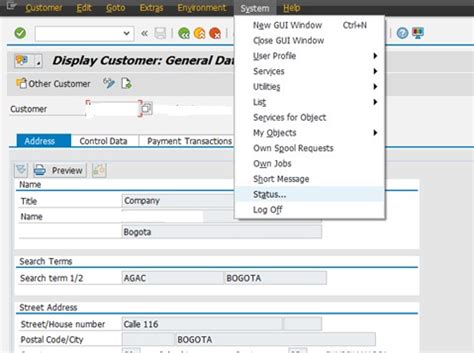 SAP ABAP Technical Information BADI Searching Techniques