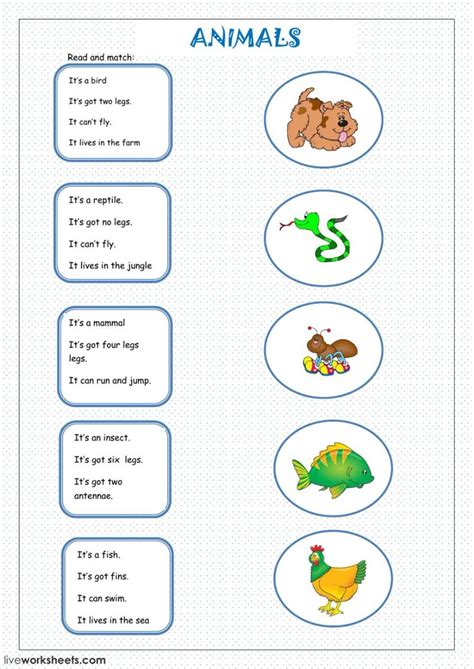 To Be Or To Have Interactive And Downloadable Worksheet You Can Do The