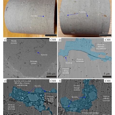 Examples Of Typical Microstructures In Analyzed Limestone Samples With