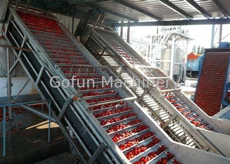 Strawberry Blueberry Berry Processing Equipment Juice Production Machine