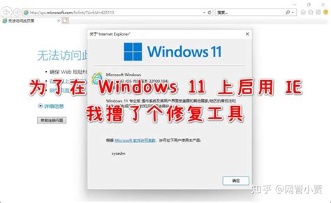 为了在 Windows 上启用 IE 我撸了个修复工具 知乎