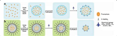 Common Approaches To Silica Nanoparticle Synthesis The Two Main Download Scientific Diagram