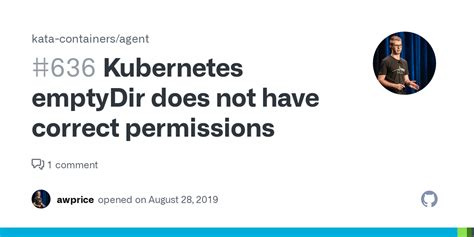 kubernetes emptydir does not have correct permissions · issue 636