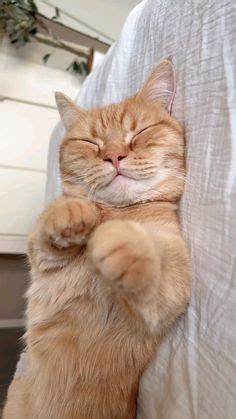 Tabby Noname Full Video Topic